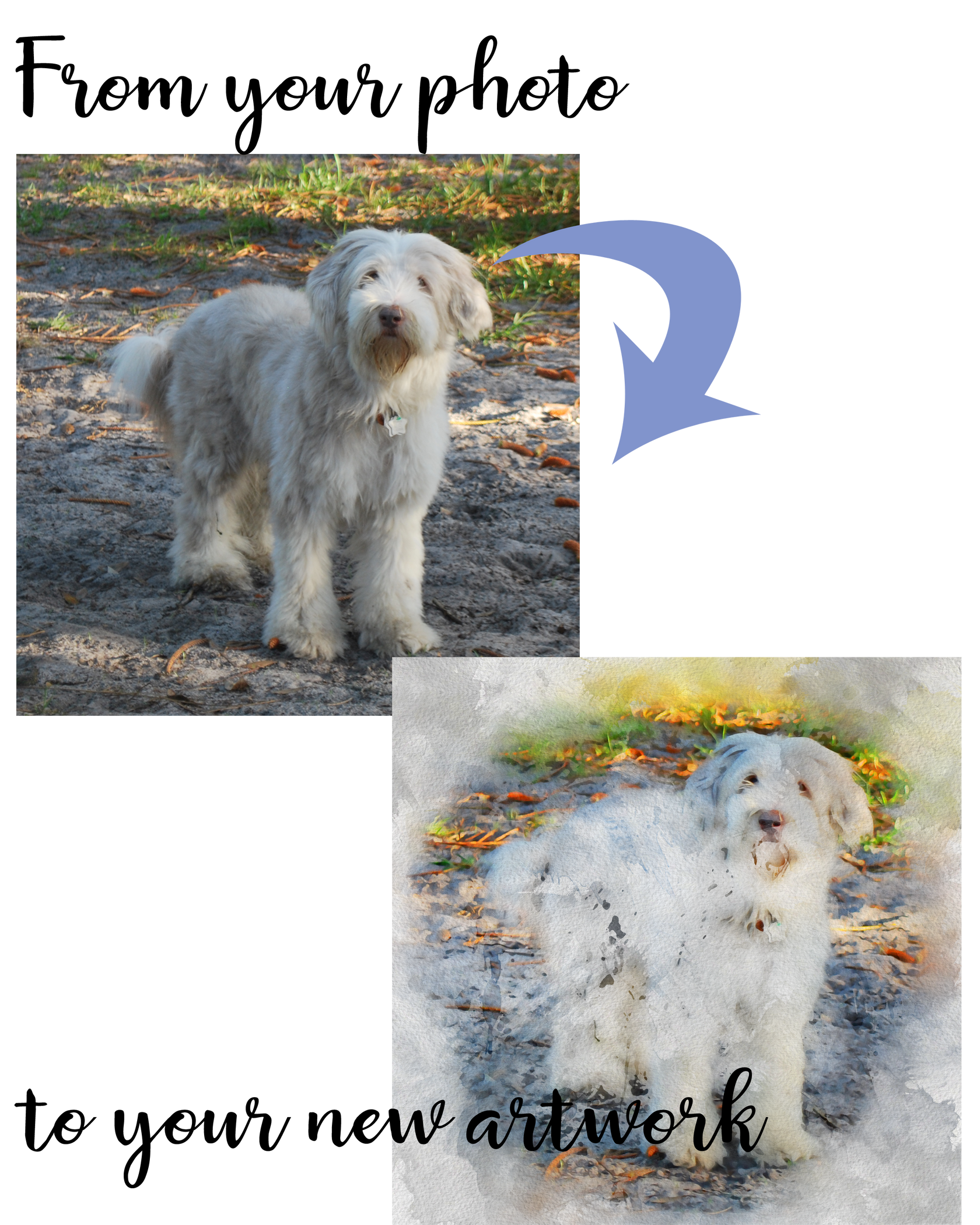 Watercolor Style Dog Custom Pet Portraits – The Hairy Dog Store